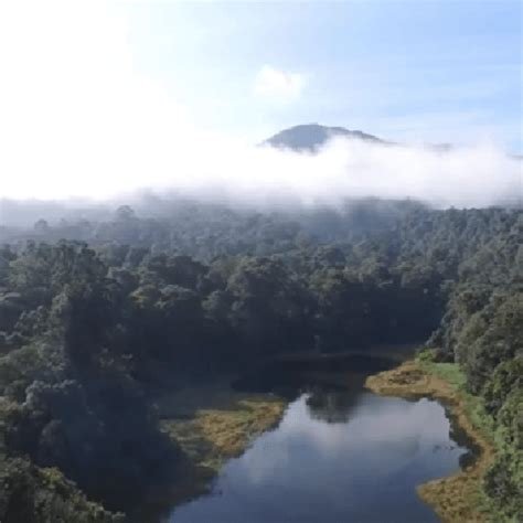 Mengenal Tn Batang Gadis Di Sumatera Utara Mounture Com