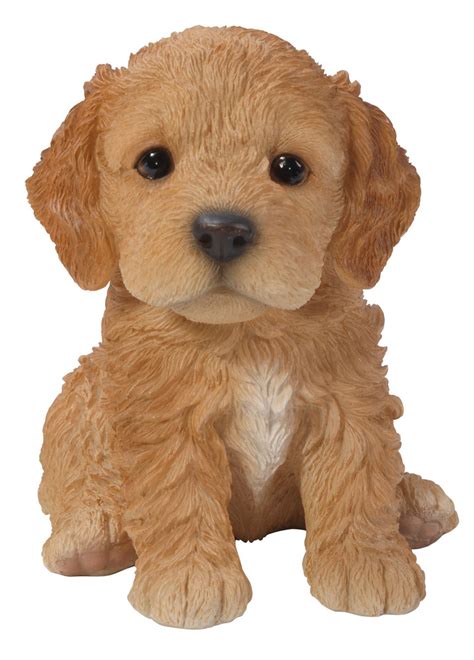 Cockapoo Light Brown