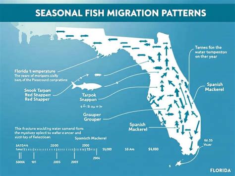 Seasonal Fish Migration Pattern Analysis For Florida Waters 2025