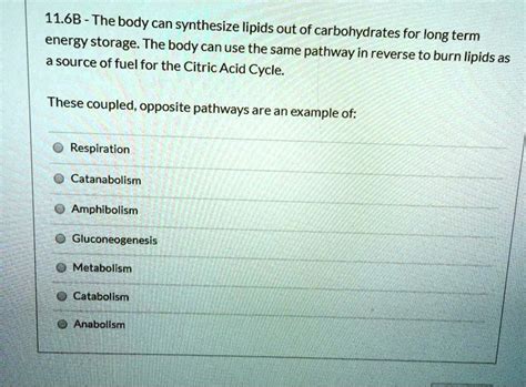 Solved 11 6b The Body Can Synthesize Lipids Out Of Carbohydrates For Energy Storage The Long
