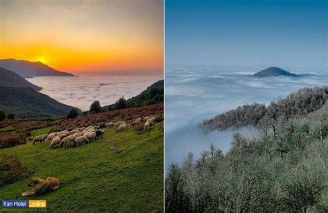 دیلمان عکس، آدرس و هر آنچه از این ییلاق بهشتی باید بدانید بلاگ ایران