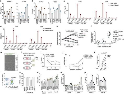 Top Ranked Genes From The Orf Screen Boost Antigen Specific T Cell