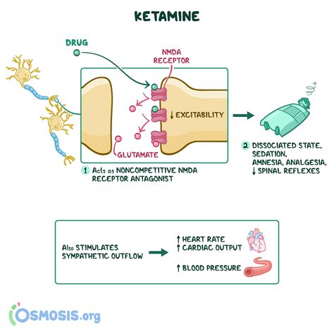 Nmda Antagonist How It Works