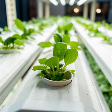 Ppb Properties News And Media