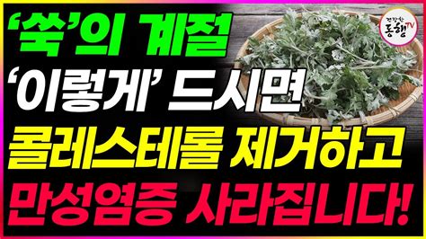 충격 봄나물 쑥 절대로 이렇게 먹지 마세요 암과 종양이 생기고 부작용을 일으킵니다 같이 먹으면 안되는 음식 쑥의 효능