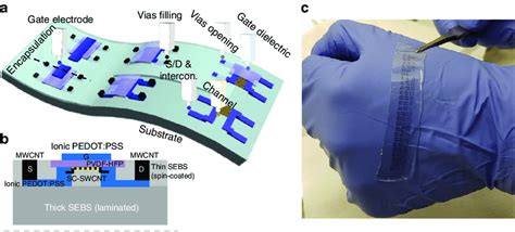 General Concept And Design A Sketch Of The Intrinsically Stretchable Download Scientific