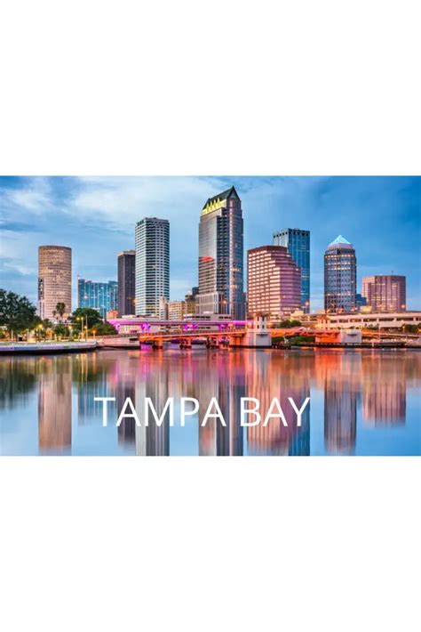Ultimate Guide Of What To Do For An Awesome Time In Tampa Bay Florida