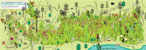 Forest Park Guide The Best Runs Portland Monthly