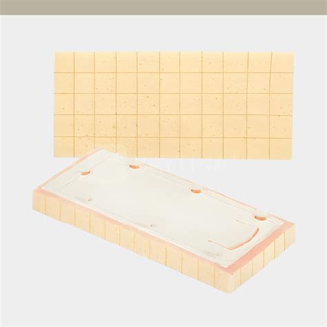 [raimondi] Sweepex Sponge W Cuts 13x30cm Baytinaplus