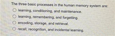 solved the three basic processes in the human memory system