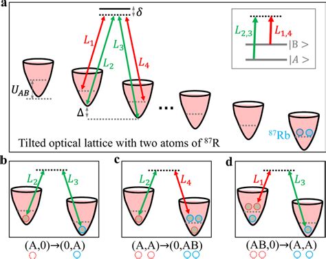 Realization Of Two Body Anyonic Bound States In The Continuum Bics