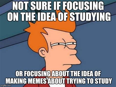 Studying Meme