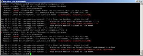 Mongodb Unable To Start The Mongo Services On Debian Server Database Administrators Stack