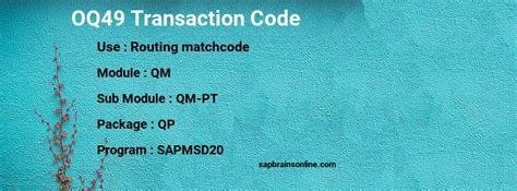 Oq49 Sap Tcode For Routing Matchcode