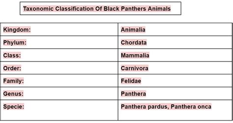 Black Panther Animal Adaptations At Mary Wilber Blog