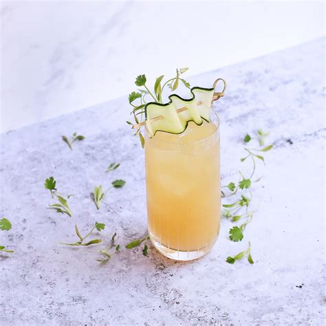 Citrus Pilsner Fizz With Gin No11 Gin In A Tin