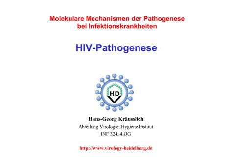 Hiv Pathogenese
