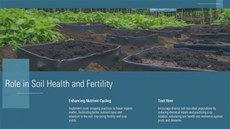 Soil Fertility PowerPoint Presentation And Slides PPT Sample SlideTeam