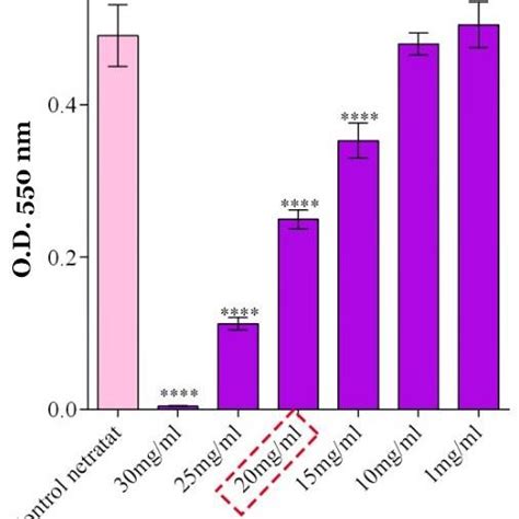 Graphical Representation Of Cells Viability After 24 H 48 H And 72 H Download Scientific