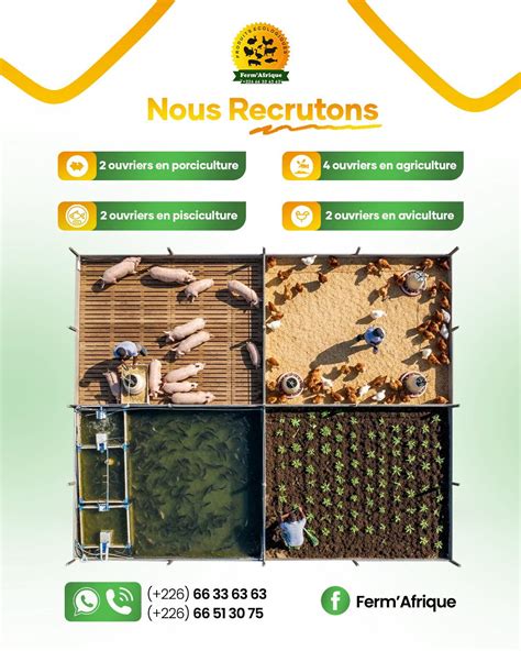 Fermafrique 🔔avis De Recrutement Fermafrique Dans Facebook