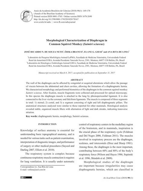 Pdf Morphological Characterization Of Diaphragm In Common 1978 Three Types Of Cdh Have