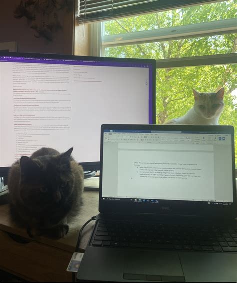 Volunteer And Services Program Environment For The Americas