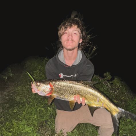 Trint Trinten 239trint • Instagram Photos And Videos