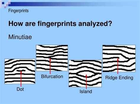 Ppt Fingerprints Powerpoint Presentation Free Download Id146843