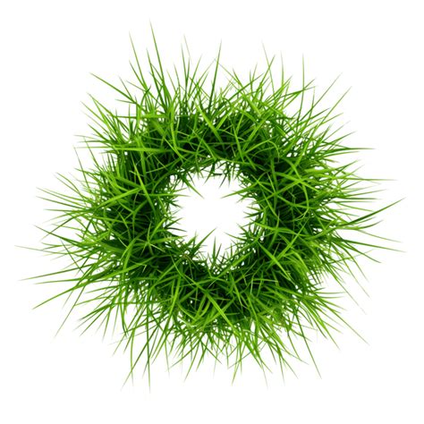 Grass Circle Pngs For Free Download