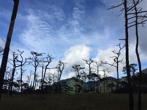อุทยานแห่งชาติภูลังกา จังหวัดนครพนม Phulangka National Park Thailand