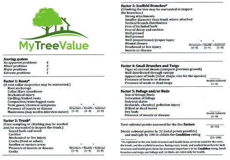 Learn More About Your Tree Value My Tree Value