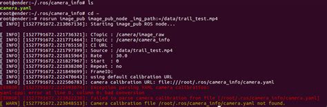 Failed To Parse Camera Calibration Issue NVIDIA AI IOT Redtail GitHub