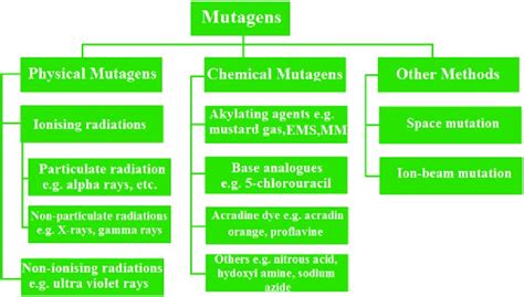 11 Common Mutagens Used In Plant Mutation Induction Source