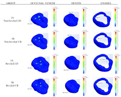 Results Applying 400 N Vertical Force Download Scientific Diagram