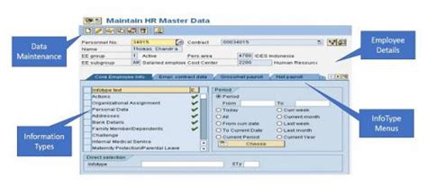 Maintain Sap Hr Employee Data