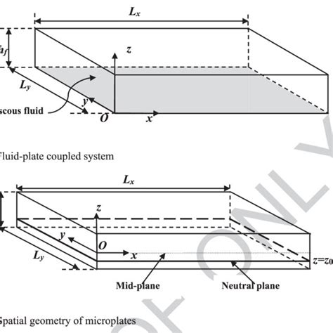 An Fgm Microplate In Viscous Fluid A Fluid Plate System And B Download Scientific Diagram