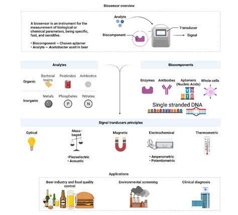 Biosensor Overview Modelling Classification And Application The Download Scientific Diagram