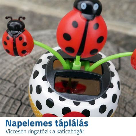 Napelemes Virág Katica Ajandekkozpont Hu