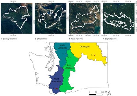Mapping Delayed Canopy Loss And Durable Fire Refugia For The 2020