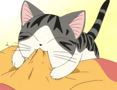 Chi Cat Anime  Find On Er