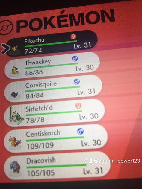 Another Galar Team For Ash Dont Get Why Some You Guys Were Confused On My Last Post R