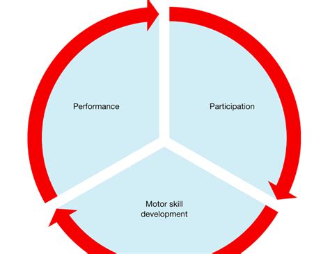 Stages Of Learning Diagram Quizlet
