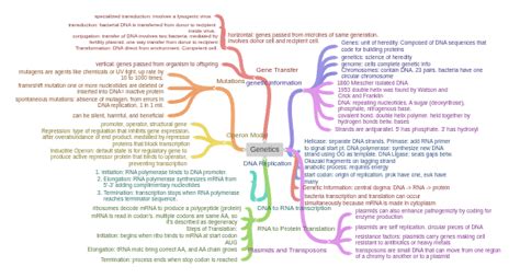 Genetics Coggle Diagram Genetics Coggle Diagram