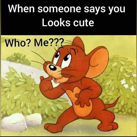 Pin On Life In 2024 Tom And Jerry Memes Me Quotes Funny Funny