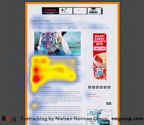 Why Visual Hierarchy In UX Is Important Userpeek Com