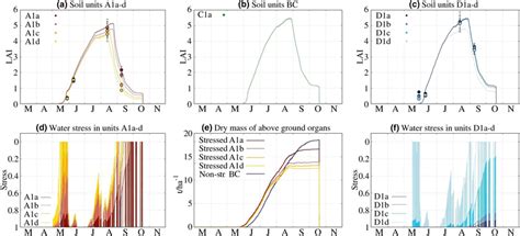 Simulations For Silage Maize Simulated Leaf Area Index Lai Lines Download Scientific