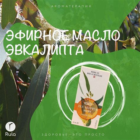 Валики Rula - 🌿Эфирное масло Эвкалипта🌿 Сильное антивирусное ...