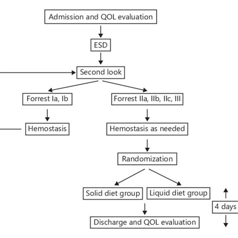 Study Design The Day After Esd Endoscopy Was Performed In All