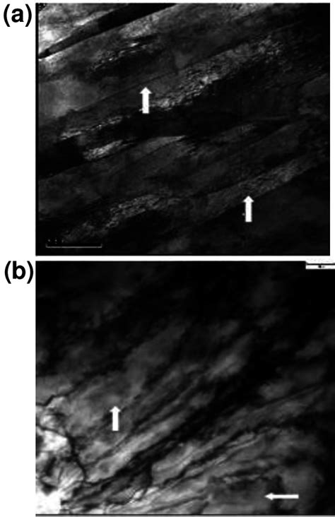 Tem Micrograph Shows The Effect Of Ni Additions On Acicular Ferrite Download Scientific Diagram