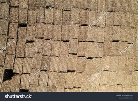 How To Compost Sugarcane Bagasse At Julia Belcher Blog